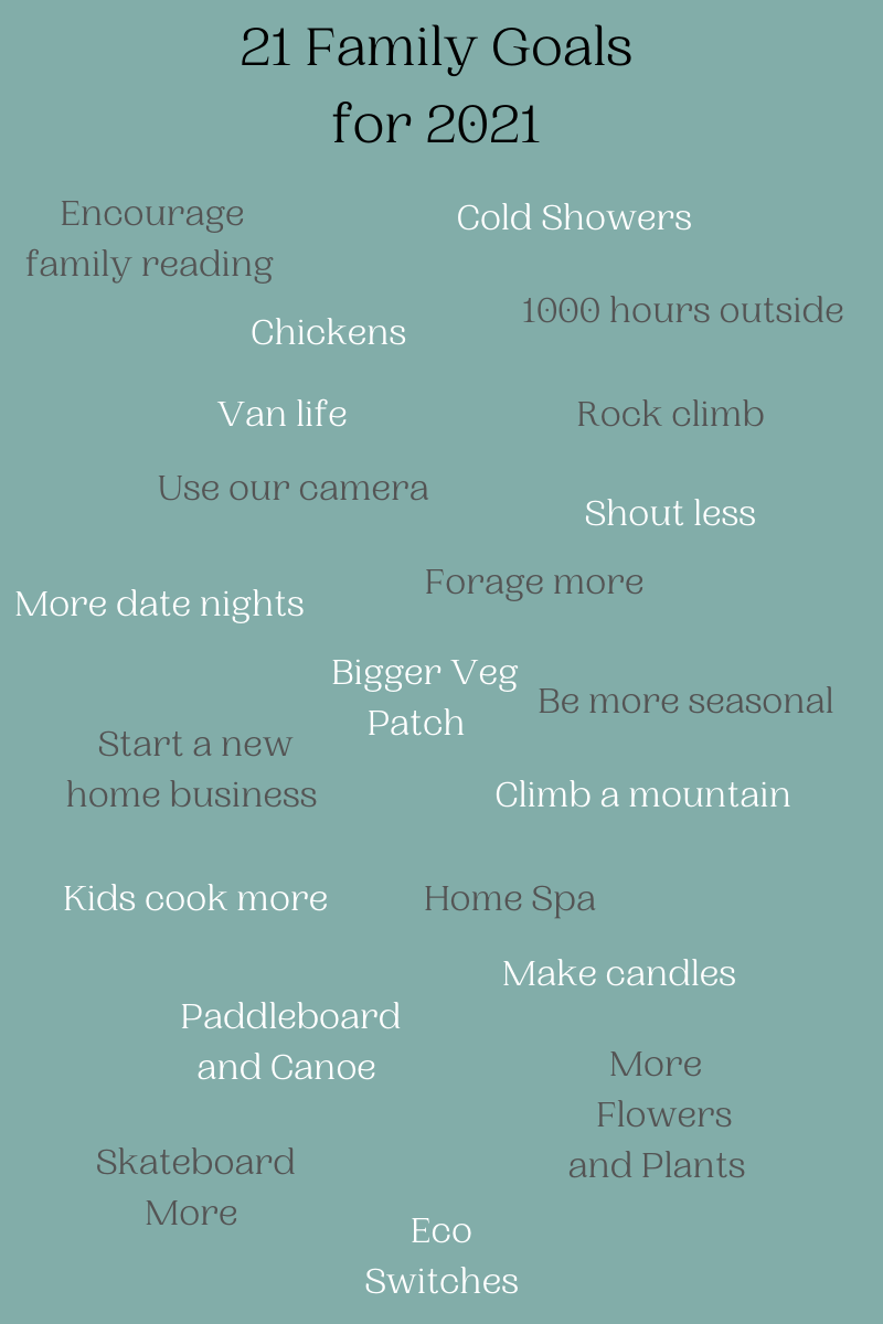 21 Family Goals for 2021 - Team Stein